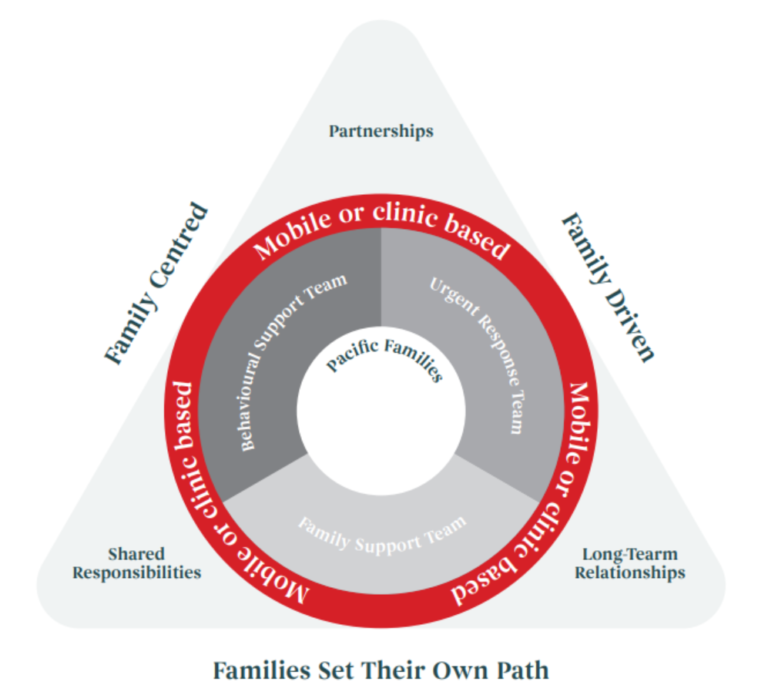 Case Study: Etu Pasifika Integrated Primary Care - The Centre For ...